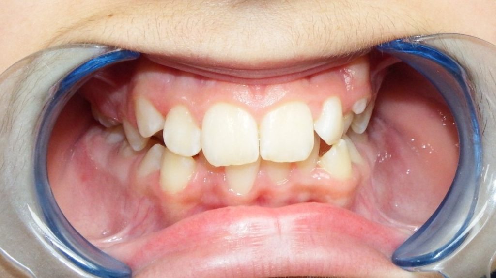 Gallery The Ortho Studio